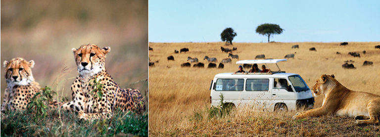 About Uganda - Tourism, Business, Culture, News | My Uganda